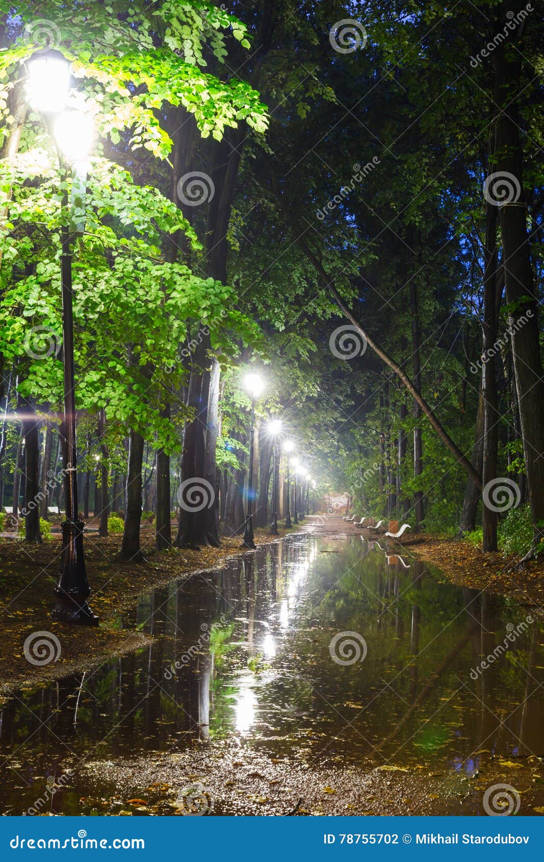 Mist, Benches on Pavement in Light Lantern at Night Stock Photo - Image ...