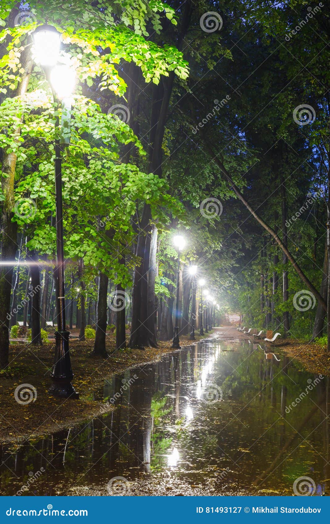 Mist, Benches on Pavement in Light Lantern at Night Stock Image - Image ...