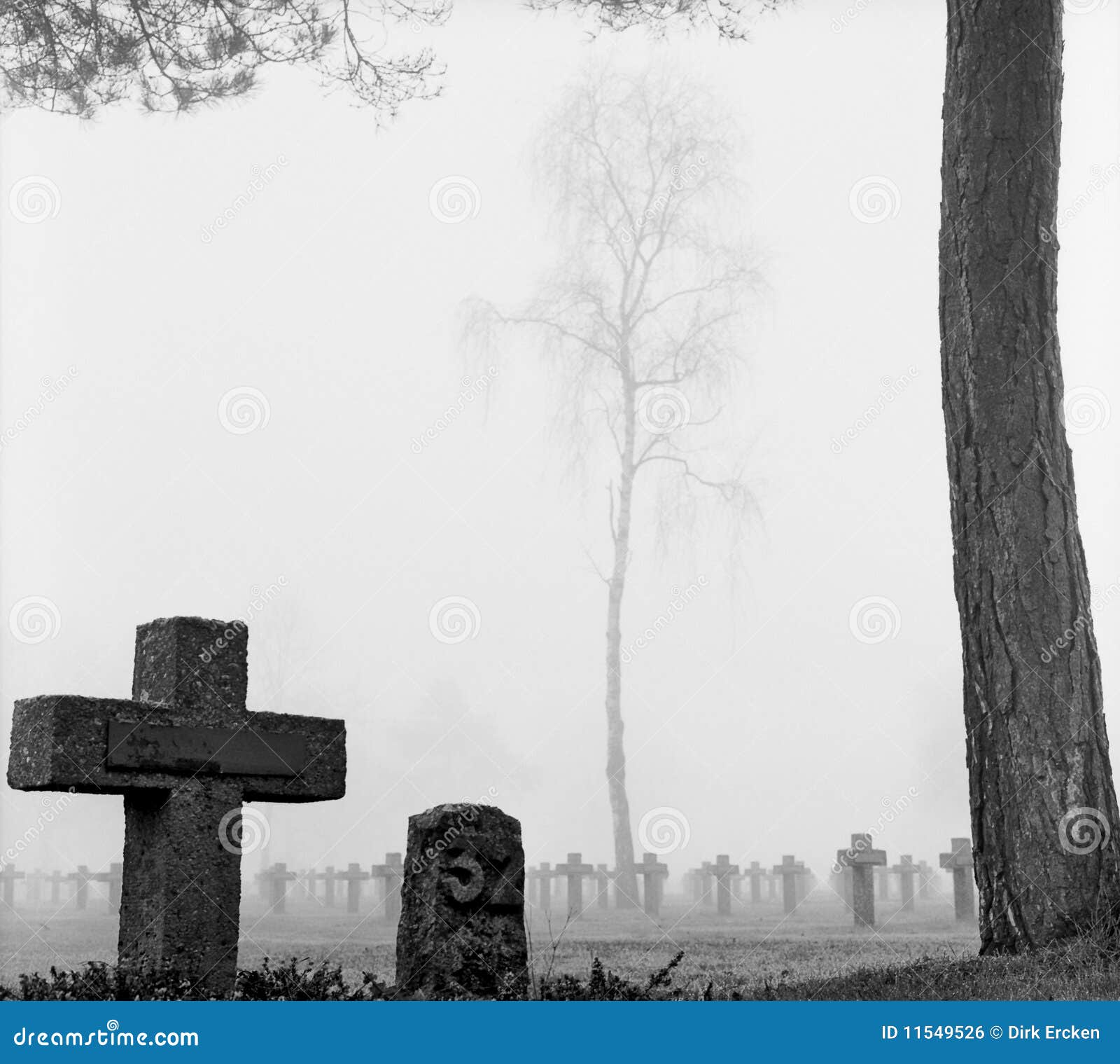Mist at Cemetery Gravestone Cross Pine Trees Park Stock Photo - Image ...