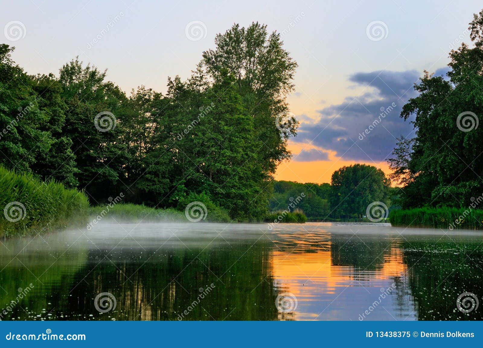 Mist covering the lake stock image. Image of hout, delftse - 13438375