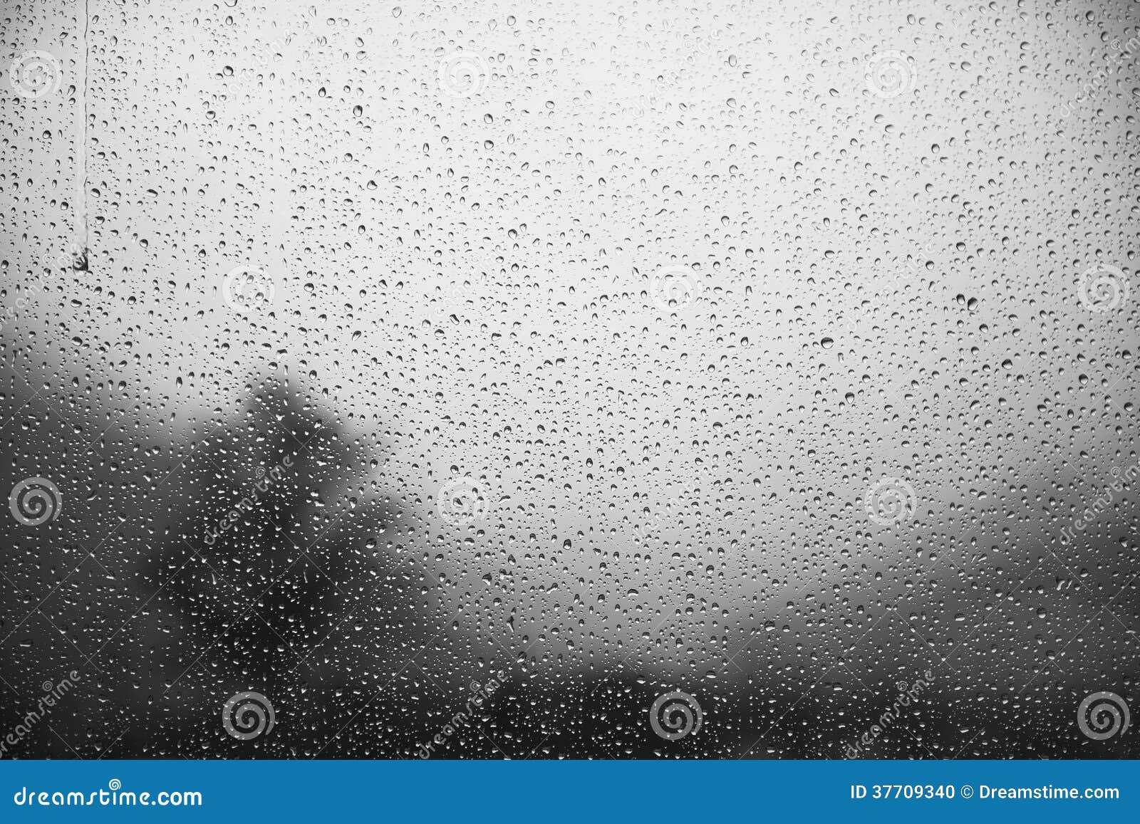 Mist droplets stock photo. Image of drop, nature, illuminated - 37709340