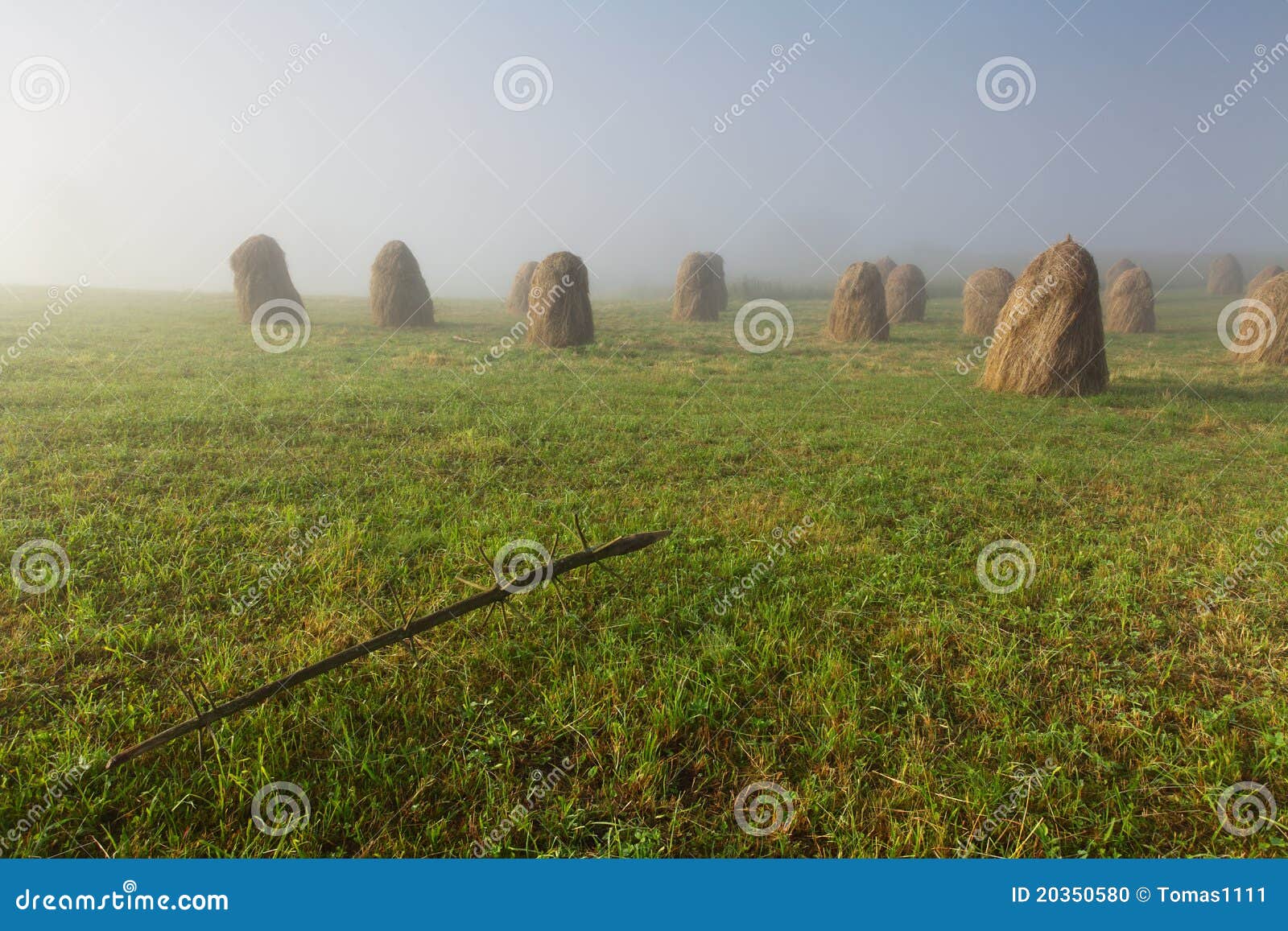 Mist in Field with Haycocks Stock Photo - Image of beauty, bale: 20350580