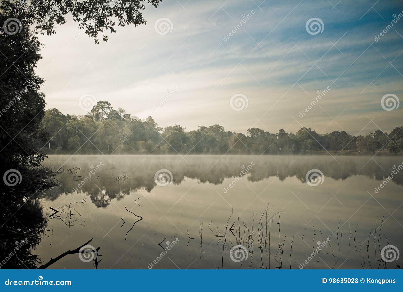 Mist Floats on the Surface of the Water Stock Photo - Image of pond ...