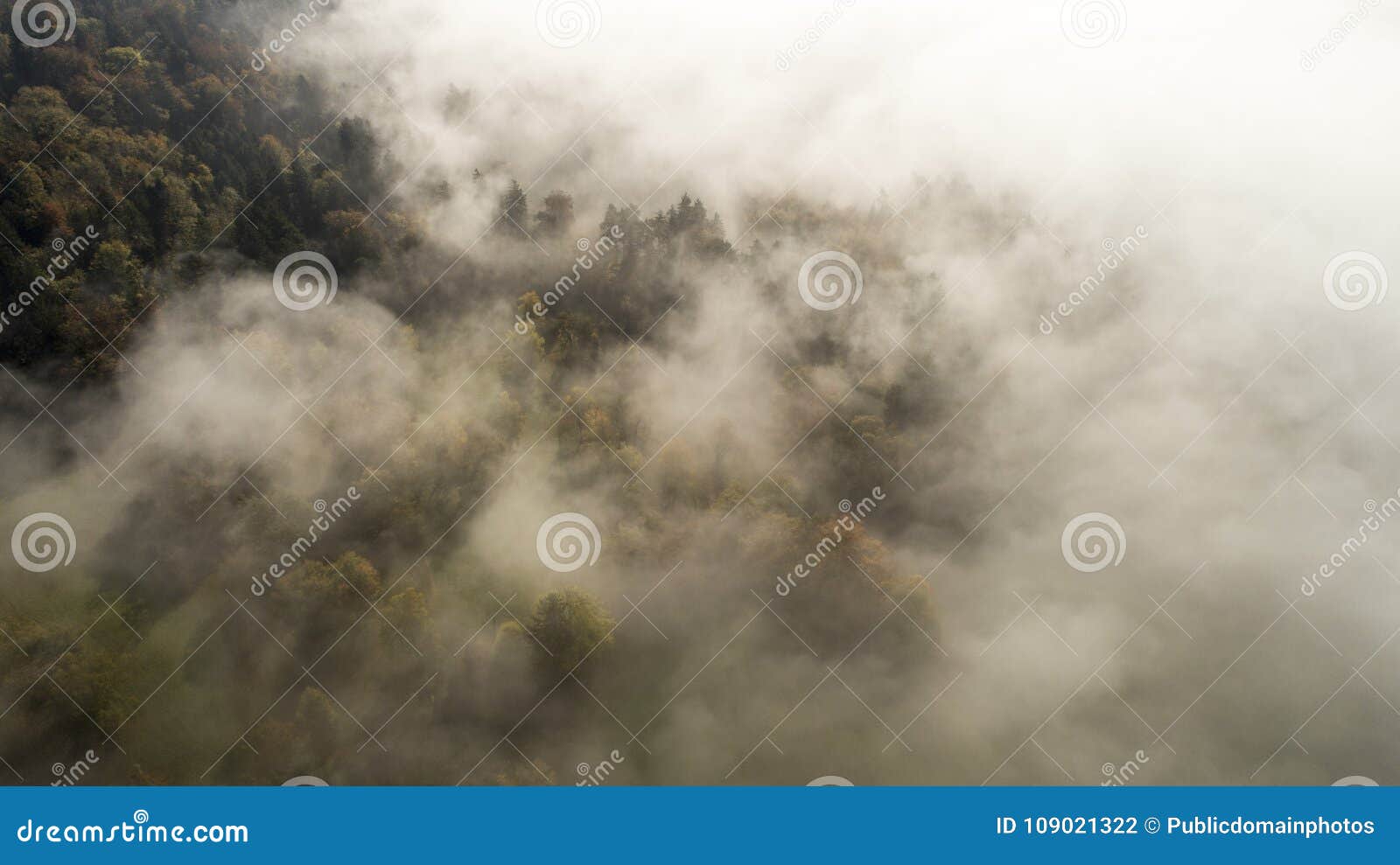 Mist, Fog, Sky, Cloud Picture. Image: 109021322