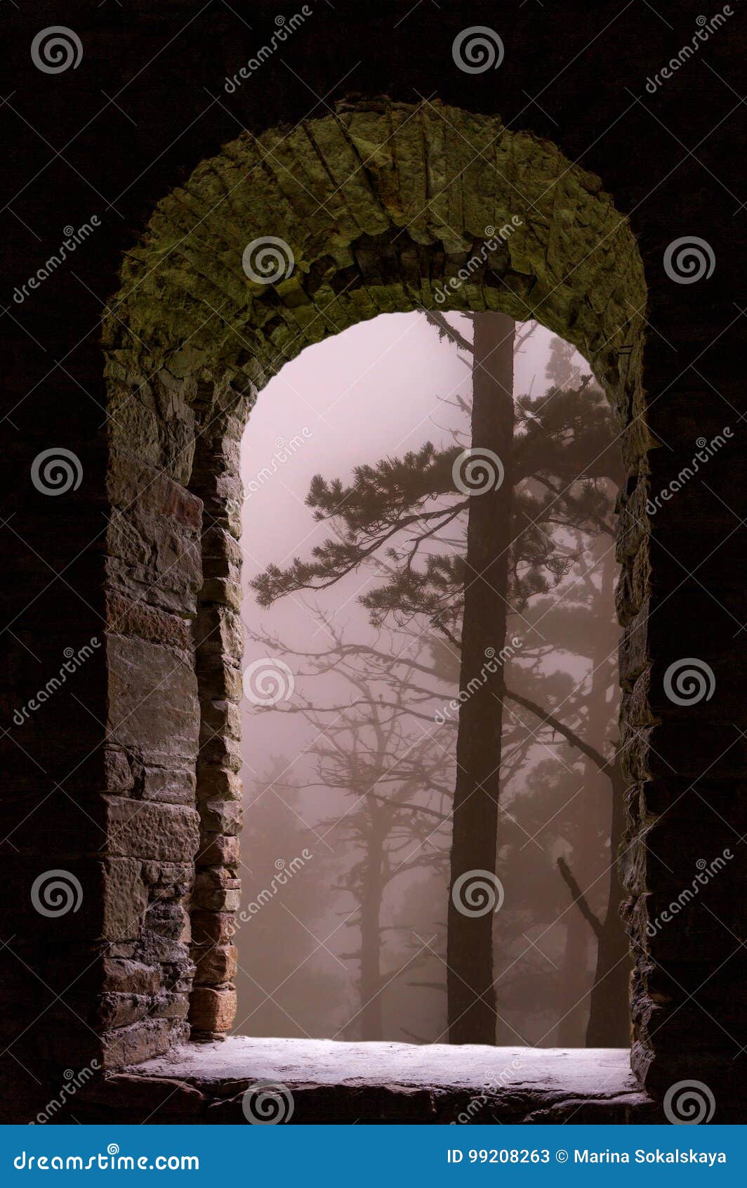Mist Forest Trees Stone Window Stock Image - Image of detail, trees ...