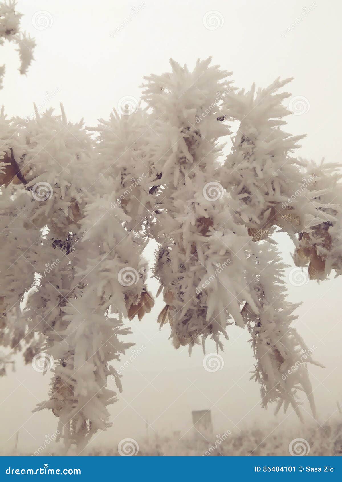 Mist frozen stock image. Image of white, mist, frozen - 86404101