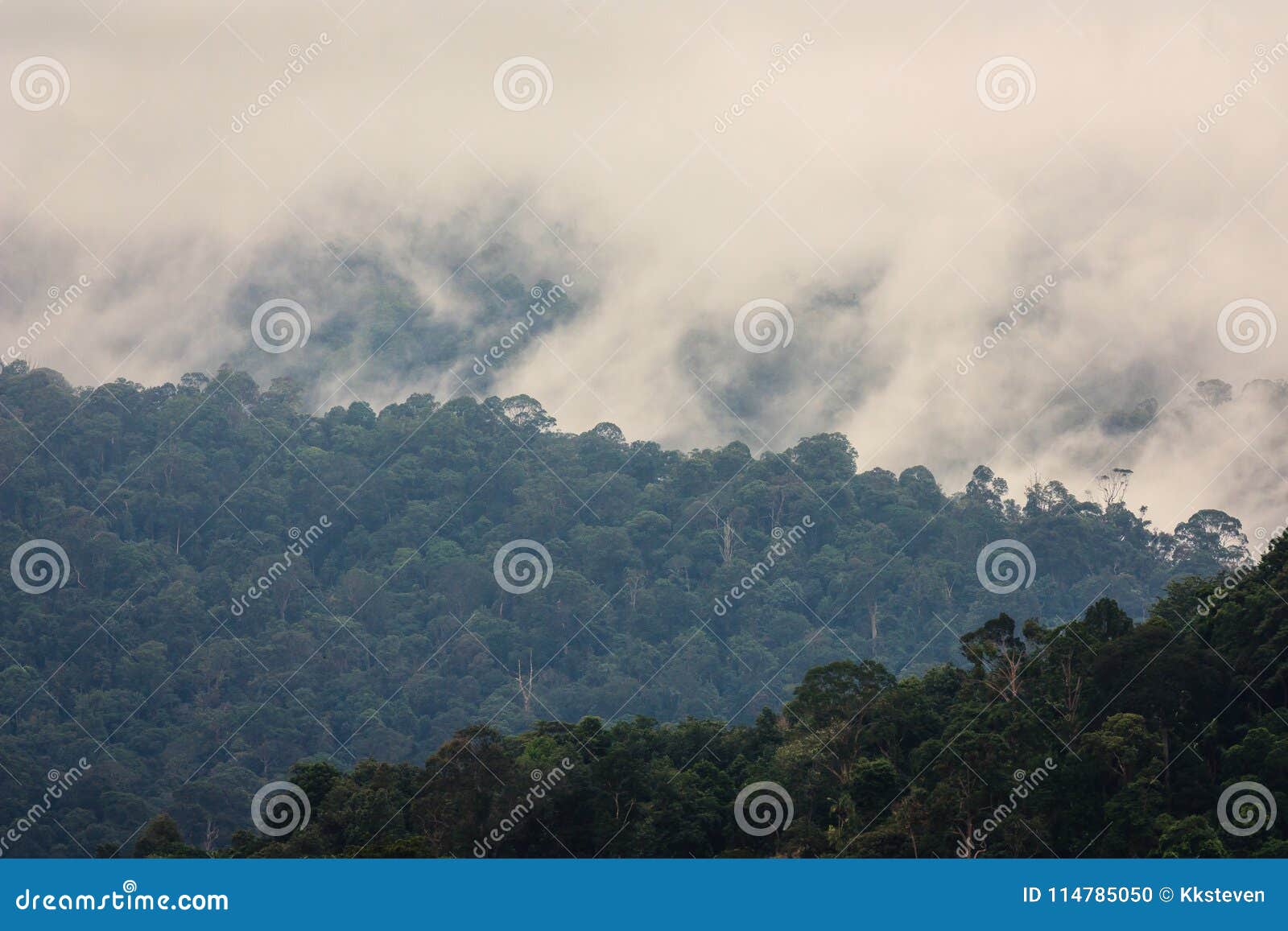 Mist and Haze in Tropical Rain Forest Stock Photo - Image of landscape ...