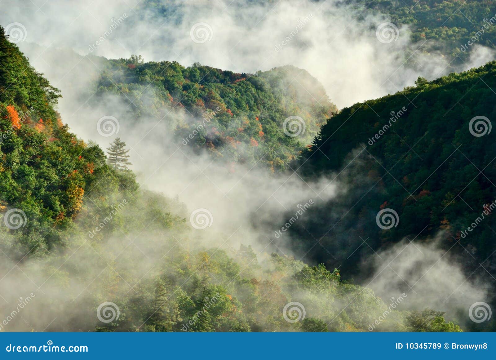 Mist in Hills stock image. Image of rural, solitude, weather - 10345789