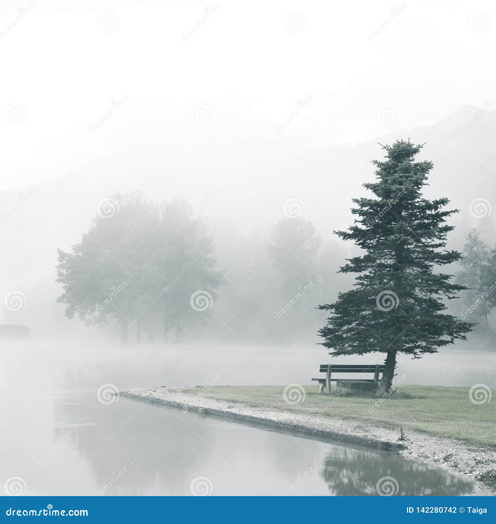 Mist on a Lake with Alone Tree and Bench and Calm Lake Water Stock ...