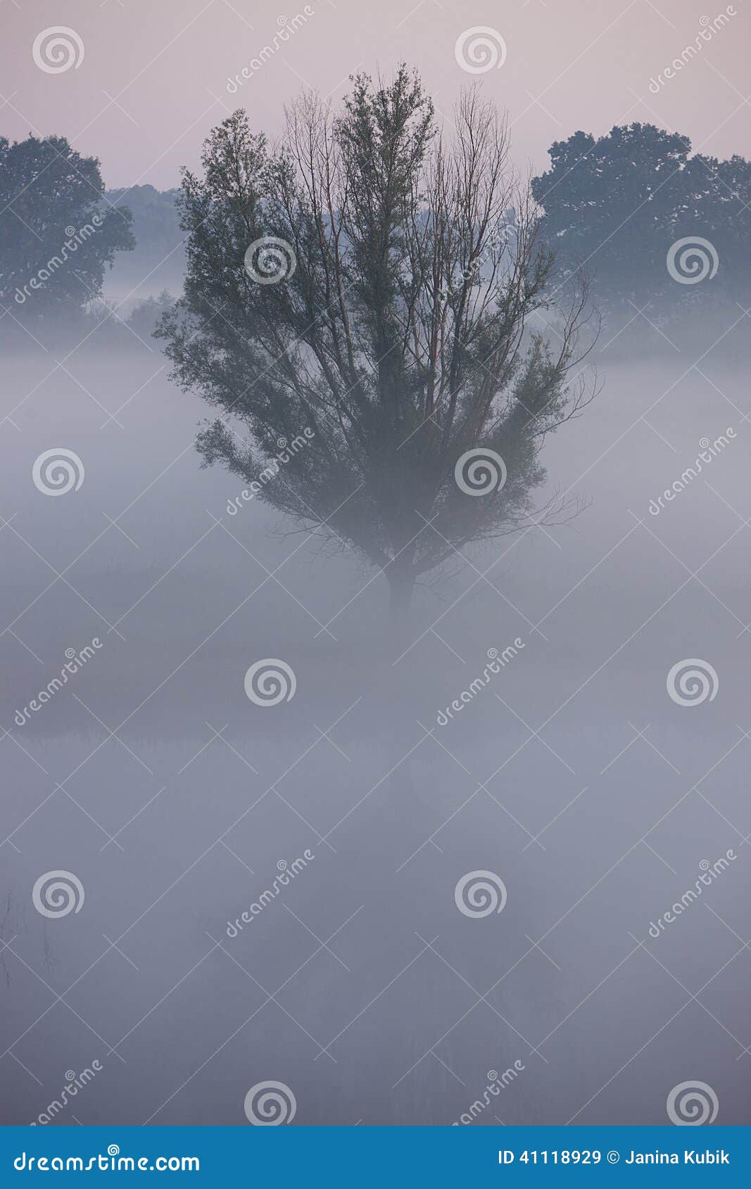 Mist on a Lake at Dawn with Clouds Stock Image - Image of country ...