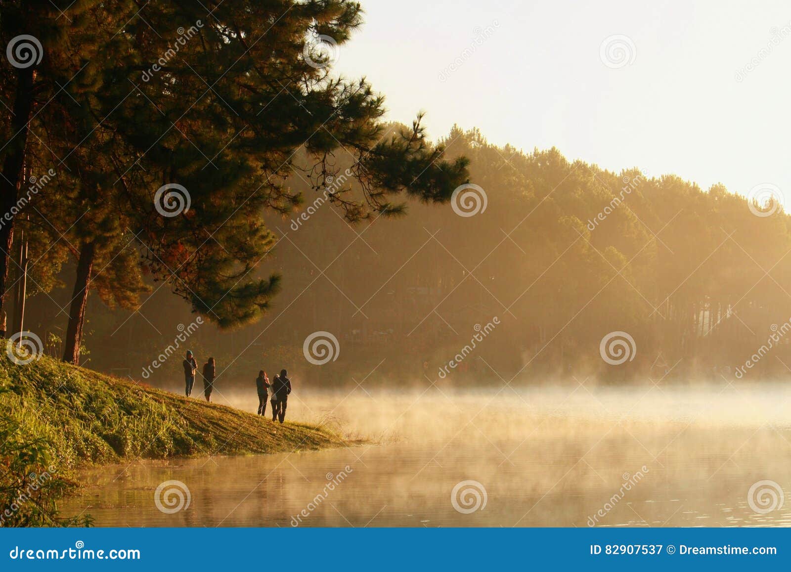 The mist on Lake editorial photography. Image of plant - 82907537