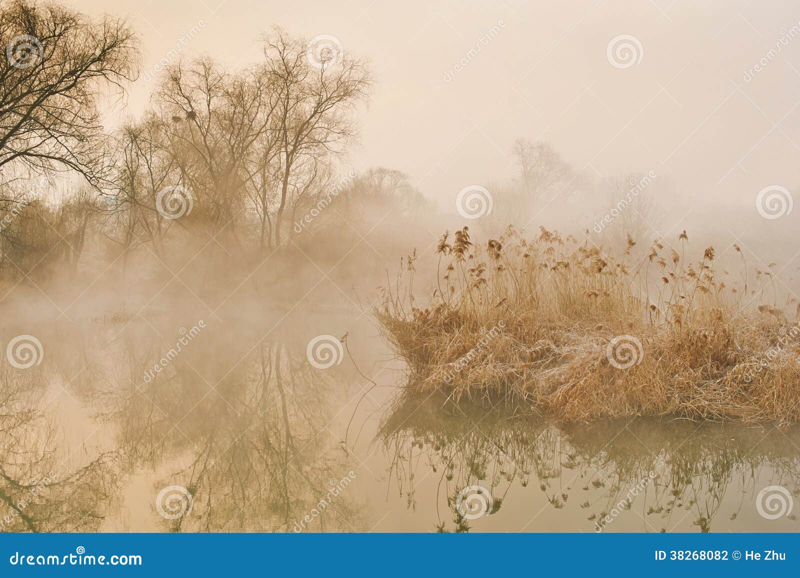 Mist landscape stock photo. Image of peaceful, landscape - 38268082