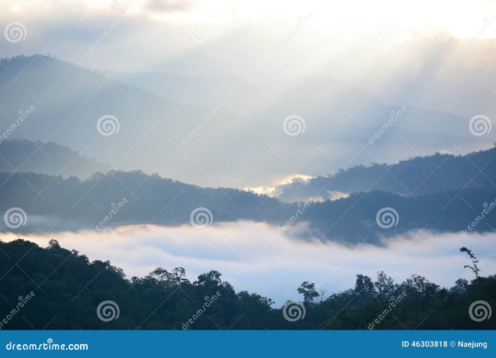 Mist with light beam stock photo. Image of morning, pattern - 46303818