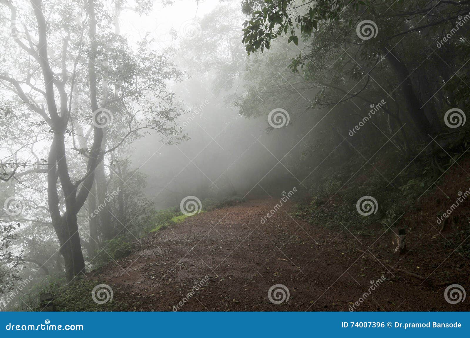 Monsoon Biome Stock Photos - Free & Royalty-Free Stock Photos from ...