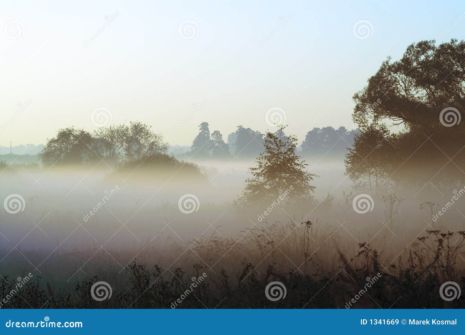 Mist morning stock image. Image of mist, meadow, chill - 1341669