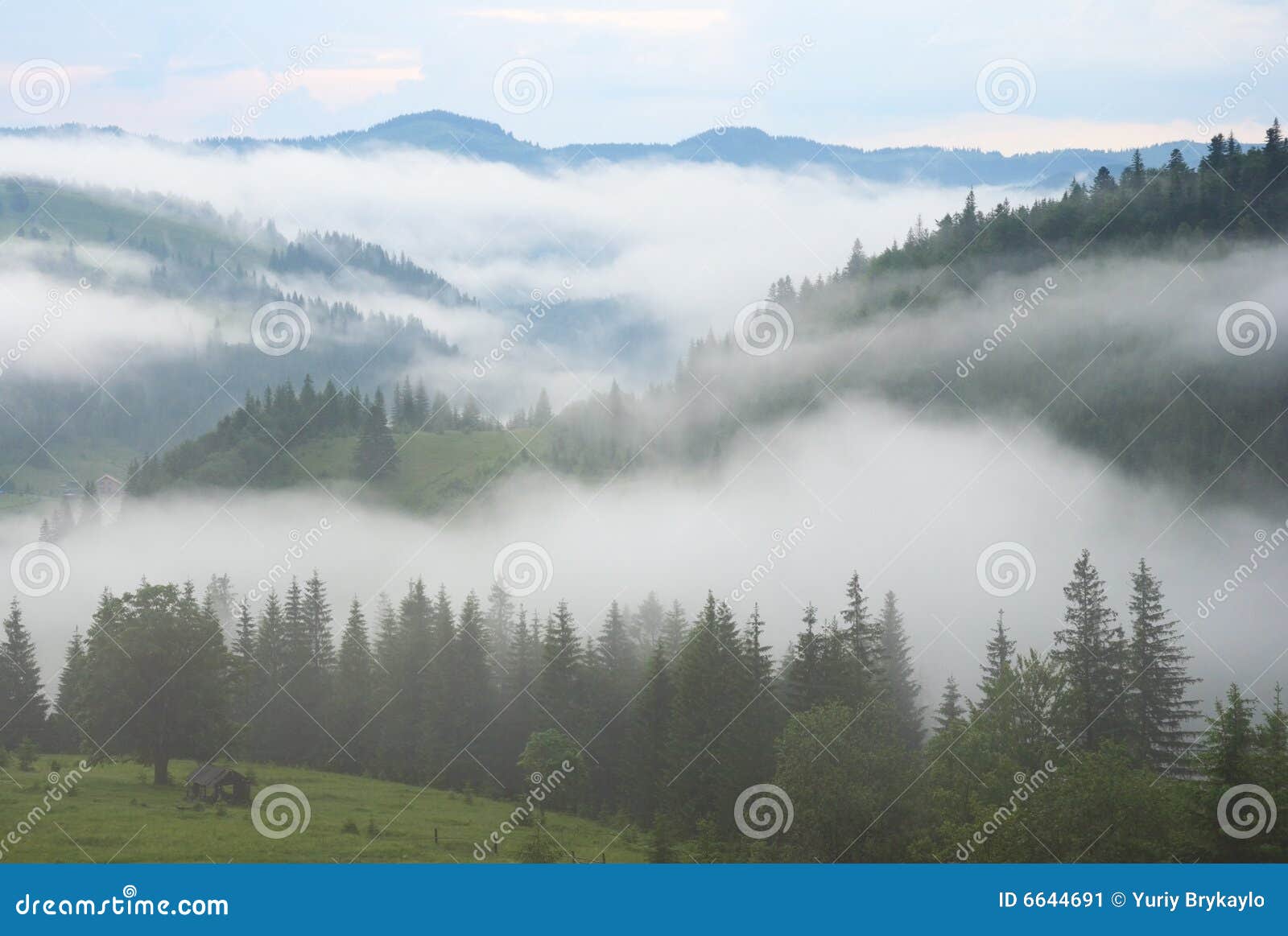 Mist in mountain stock image. Image of meadow, forest - 6644691