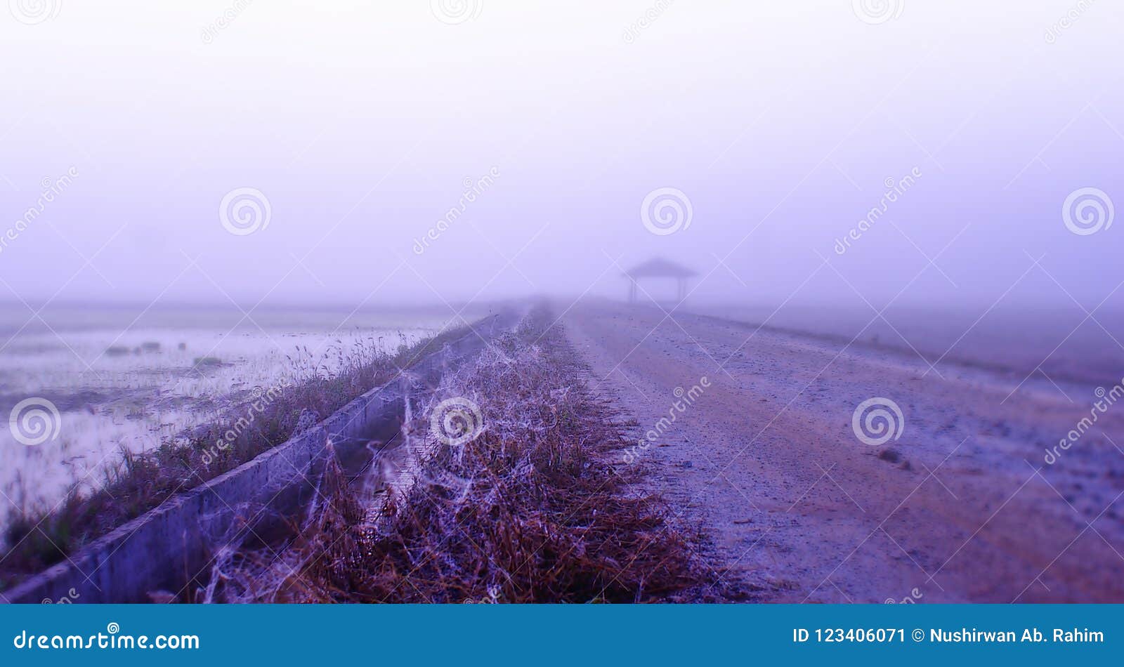 Mist mysterious stock image. Image of background, landscape - 123406071