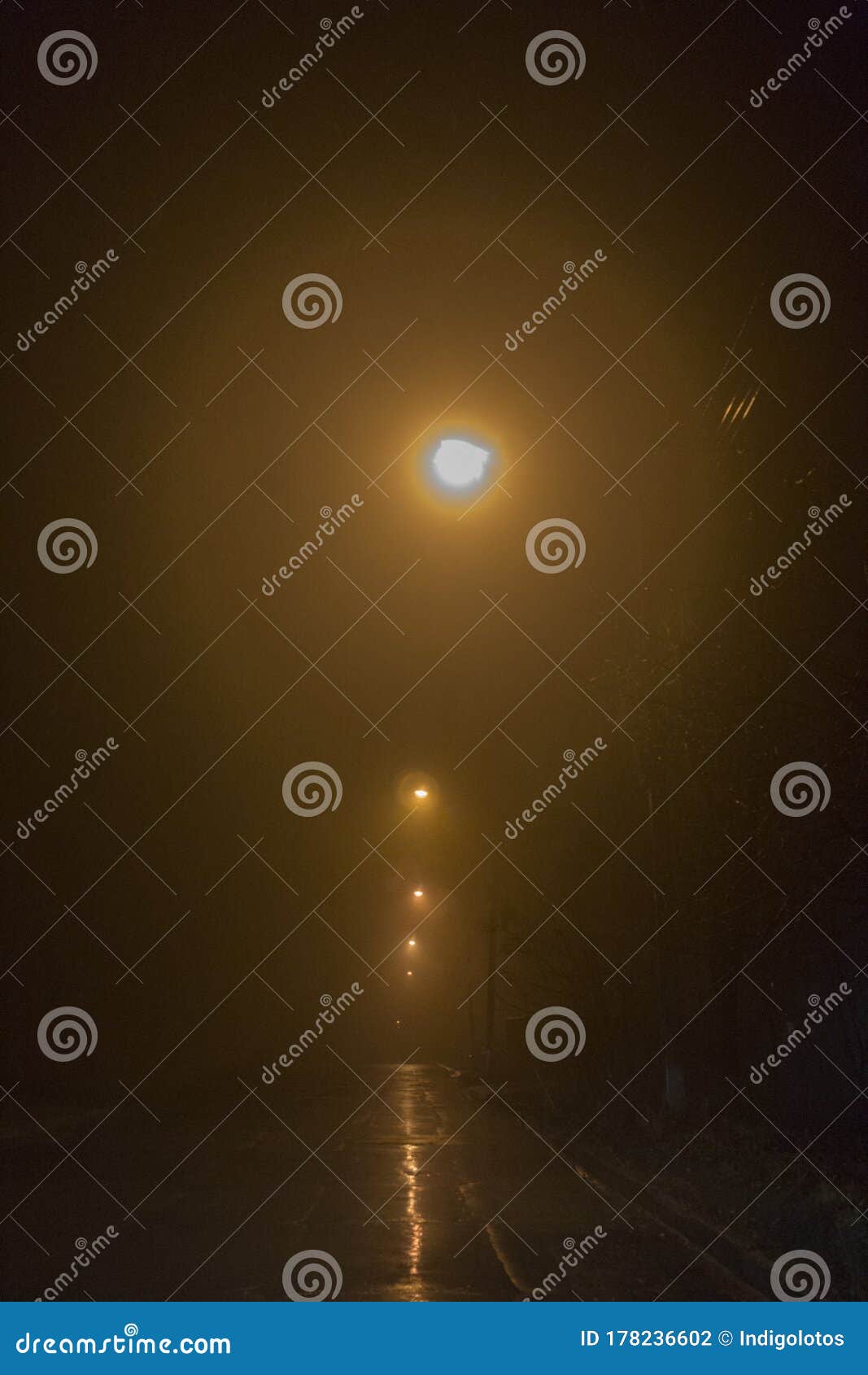 Mist and Night stock photo. Image of light, mist, dark - 178236602