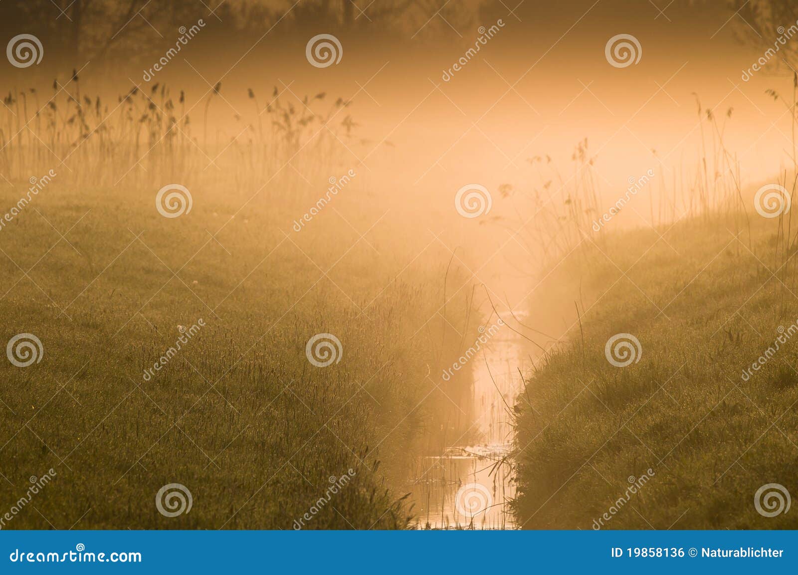 Mist Over Countryside Stream Stock Photo - Image of river, sunrise ...