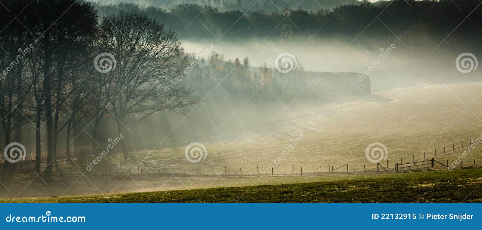 Mist over field stock image. Image of nature, outside - 22132915