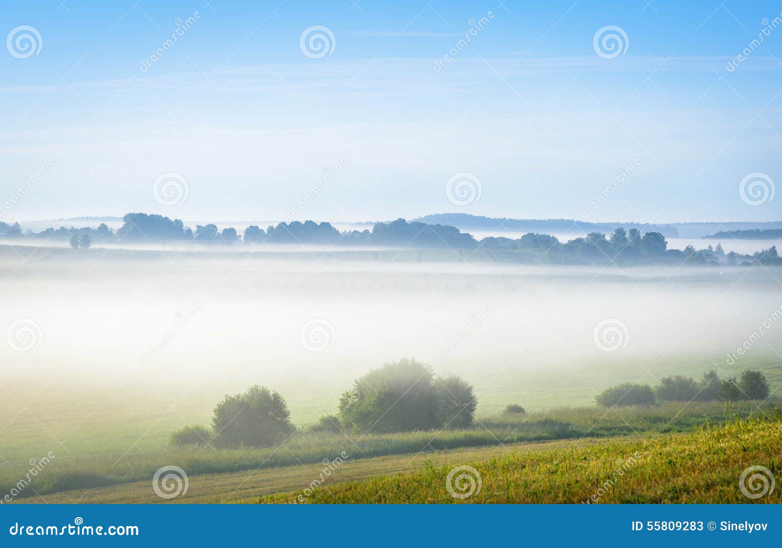 Mist over the fields stock image. Image of fresh, grass - 55809283