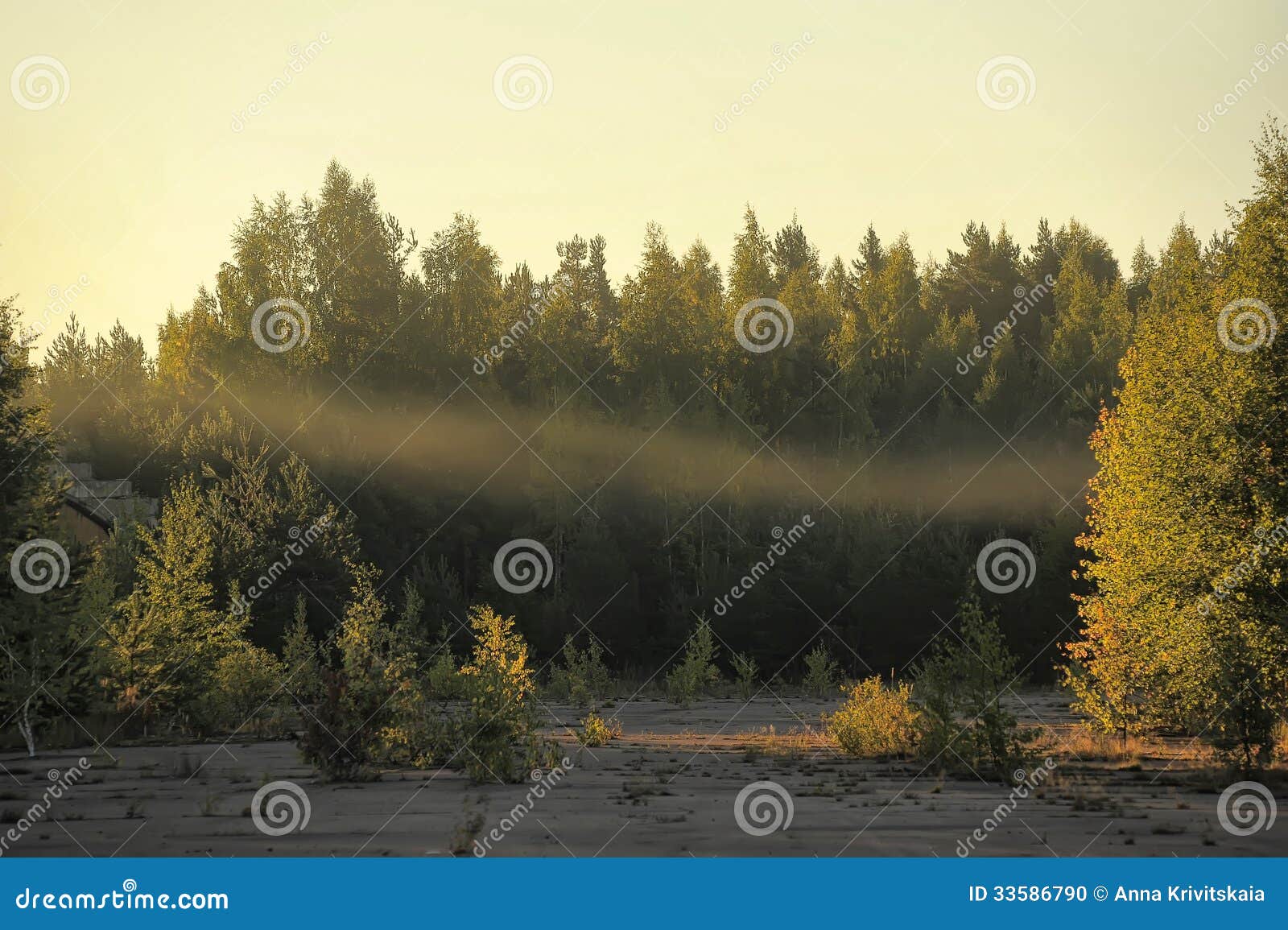 Mist over the forest stock photo. Image of hill, northern - 33586790