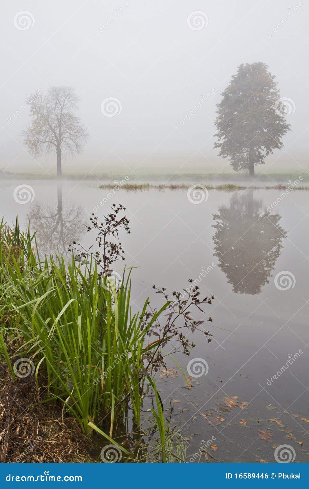 Mist over lake stock photo. Image of bright, colorful - 16589446