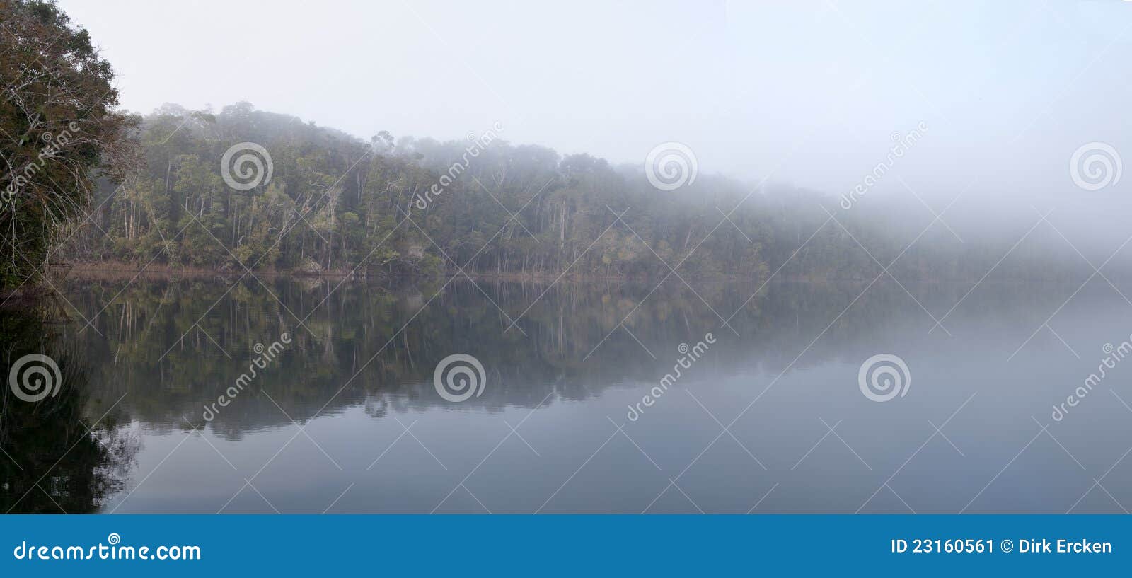 Mist Over Lake Eecham Rain Forest Reflection Stock Image - Image of ...