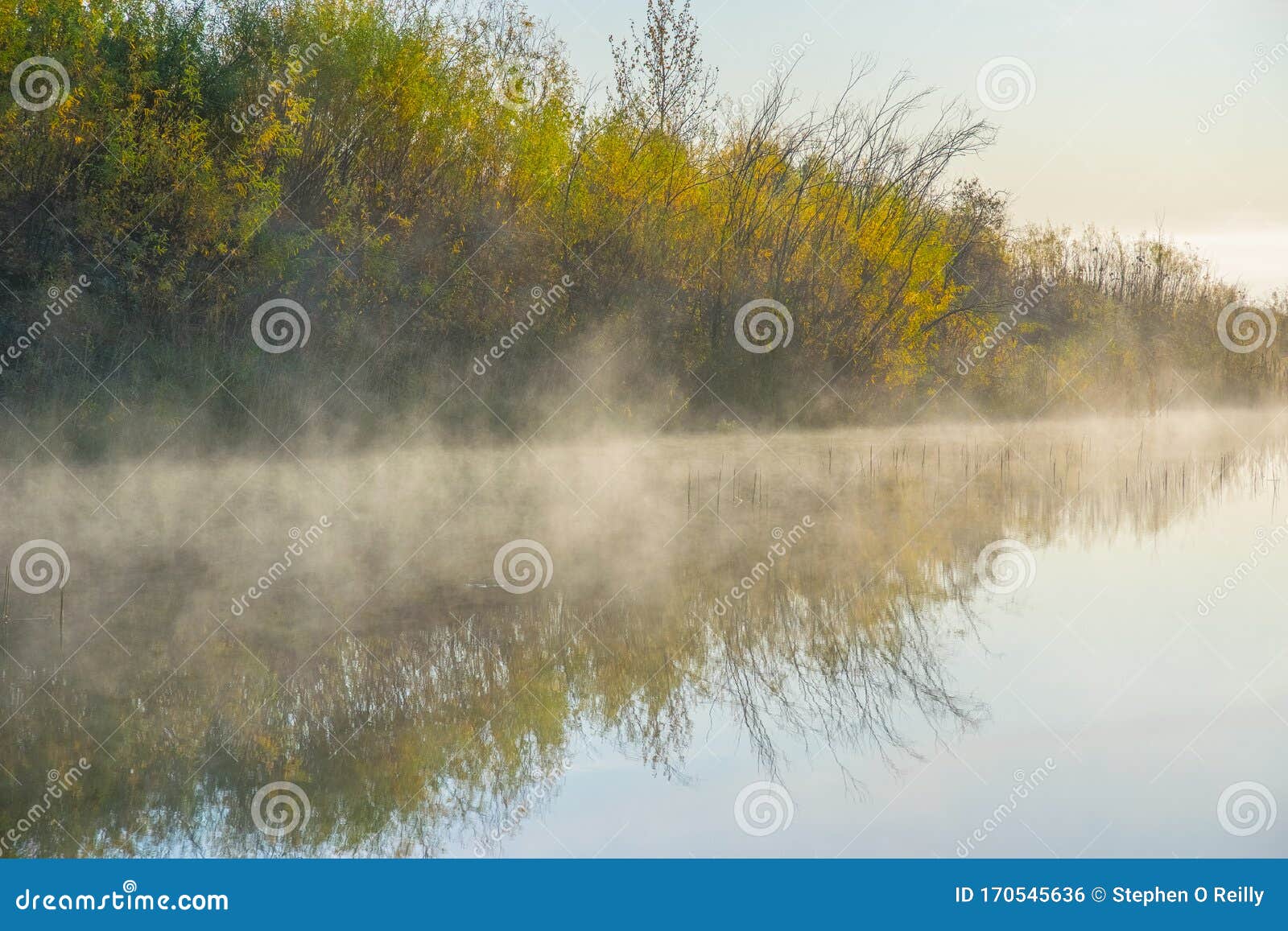 Mist over the lake stock photo. Image of early, morning - 170545636