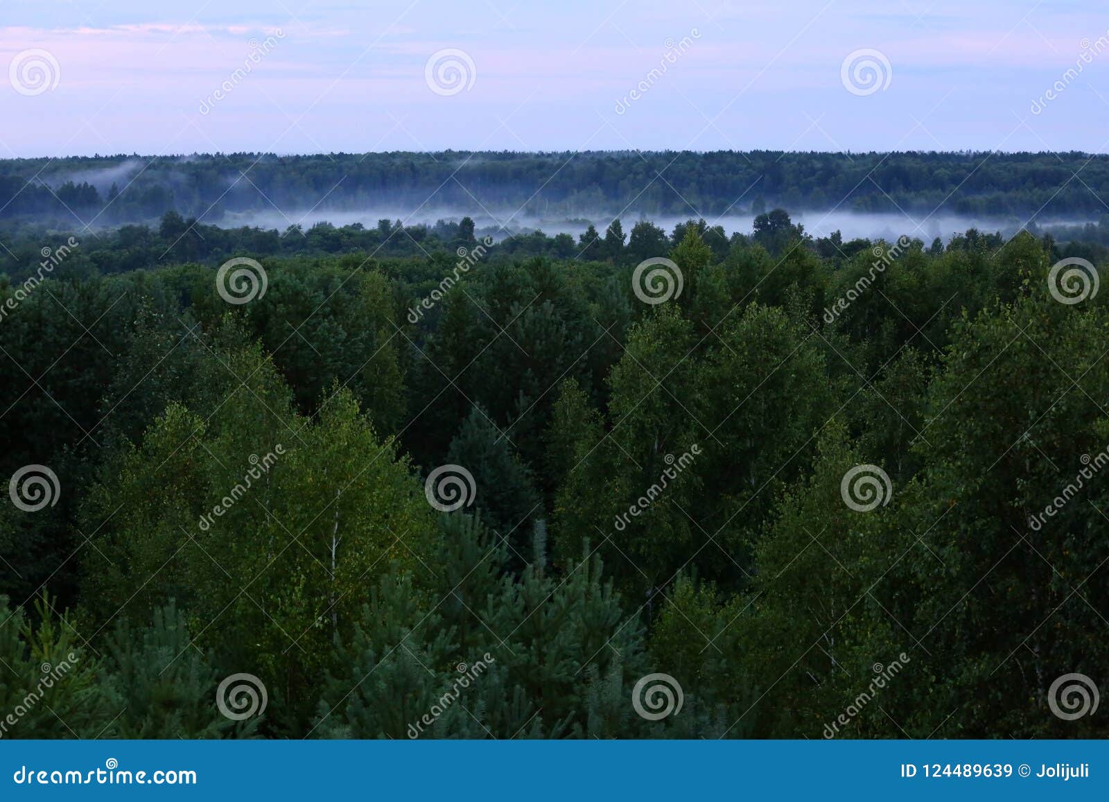 Mist after the rain stock image. Image of russia, misty - 124489639
