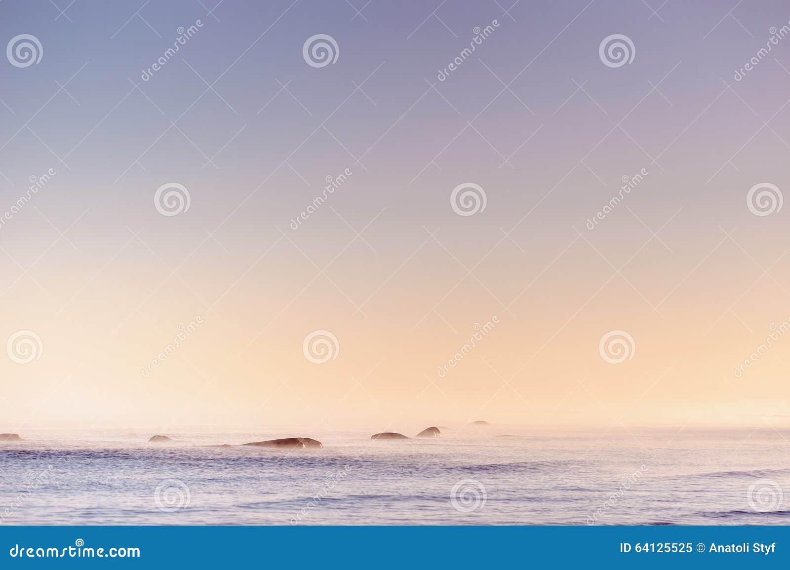 Mist over the ocean stock image. Image of seascape, blue - 64125525