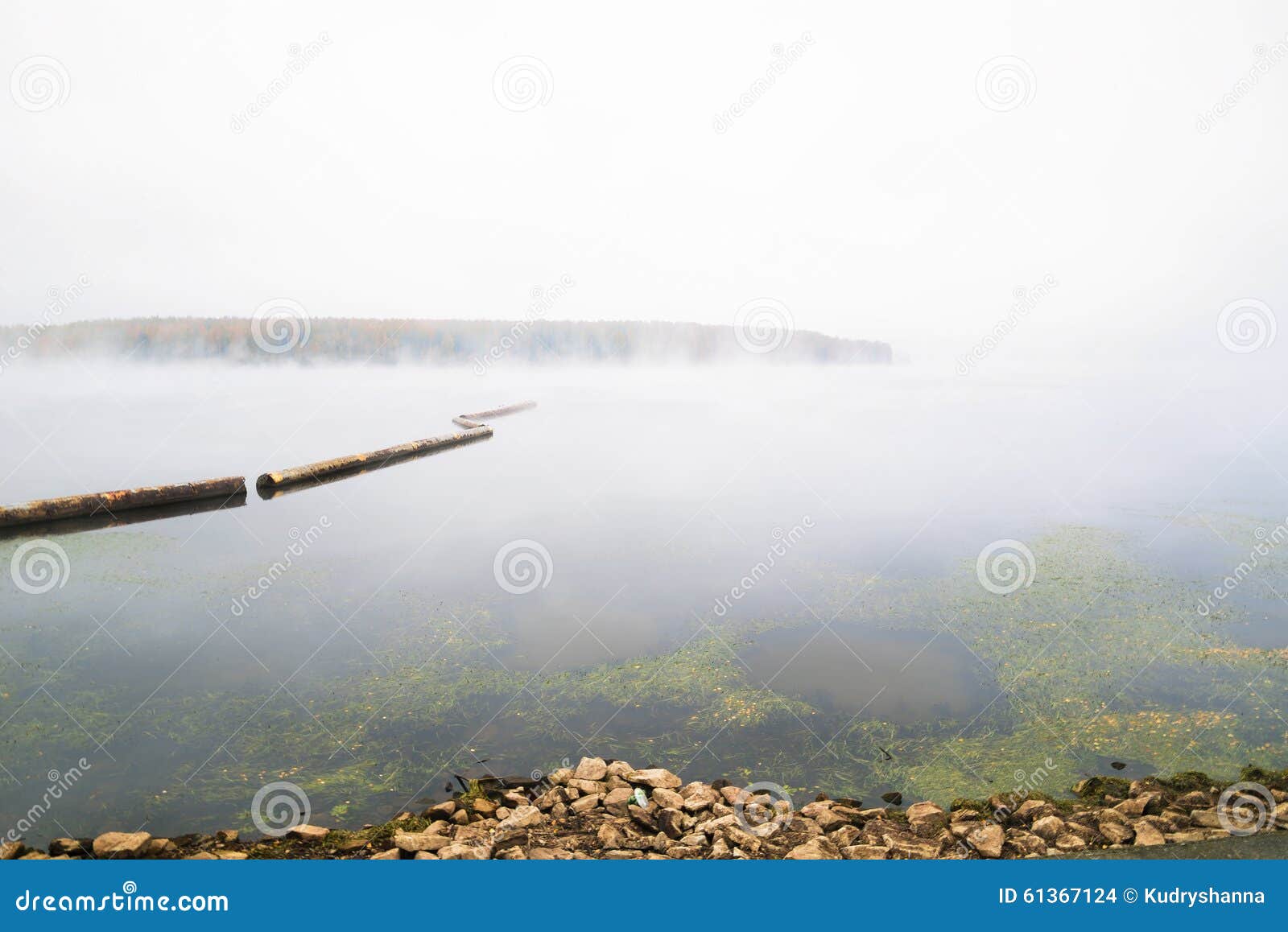 The mist over the river stock photo. Image of blue, tree - 61367124