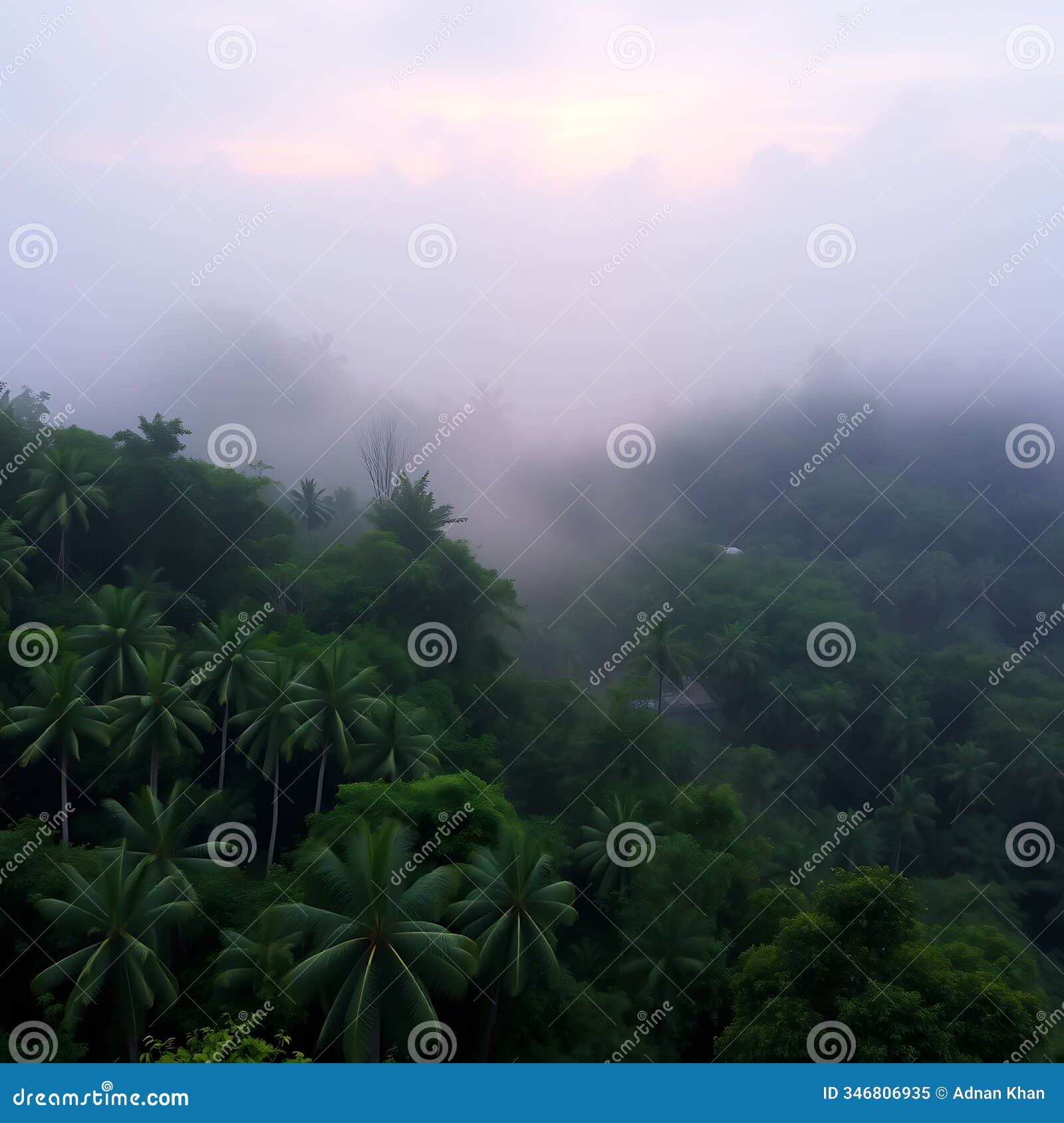 Mist Over Tropical Rainforest at Dawn Stock Illustration - Illustration ...