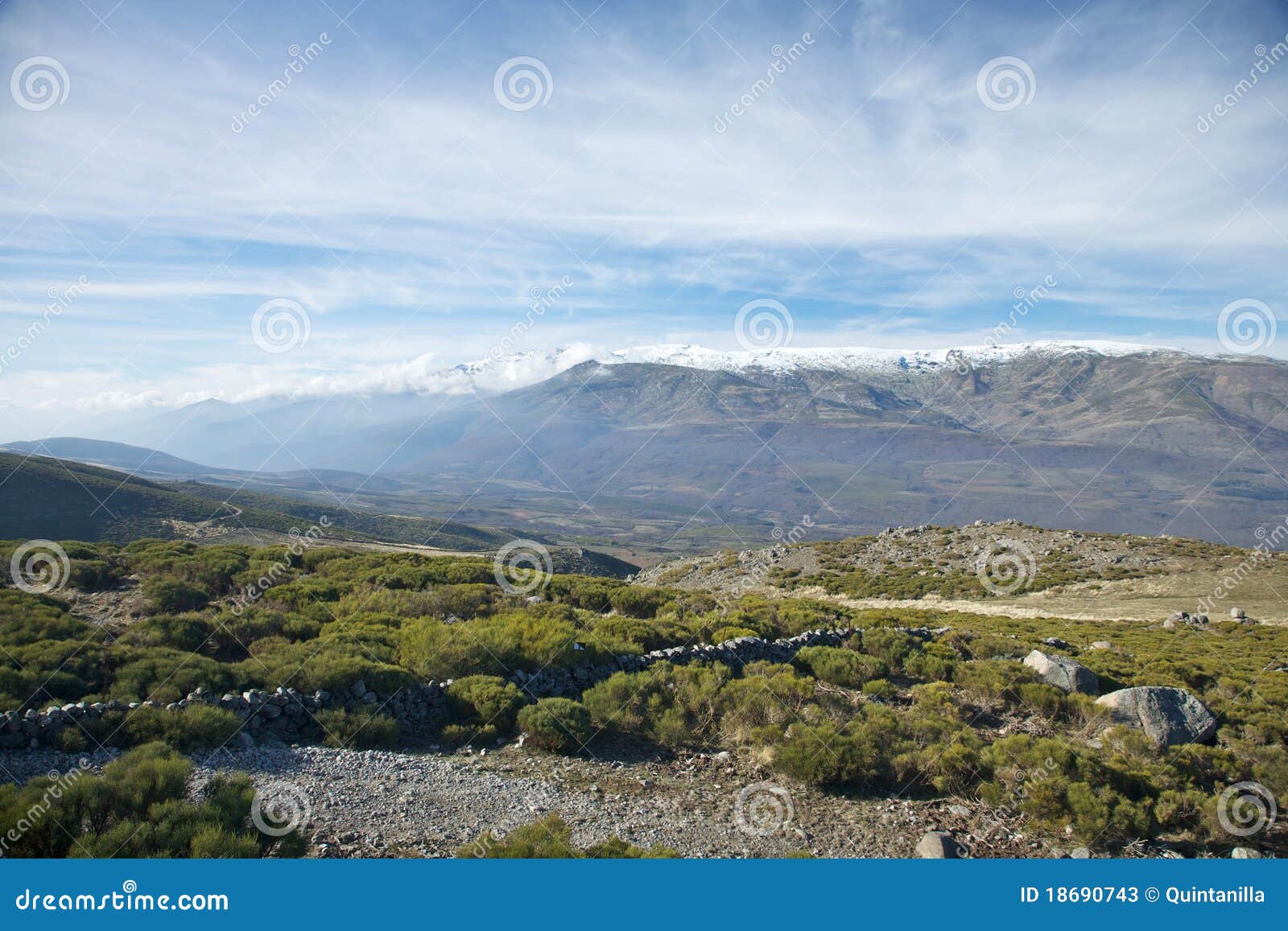 Mist over valley at Gredos stock image. Image of woodland - 18690743