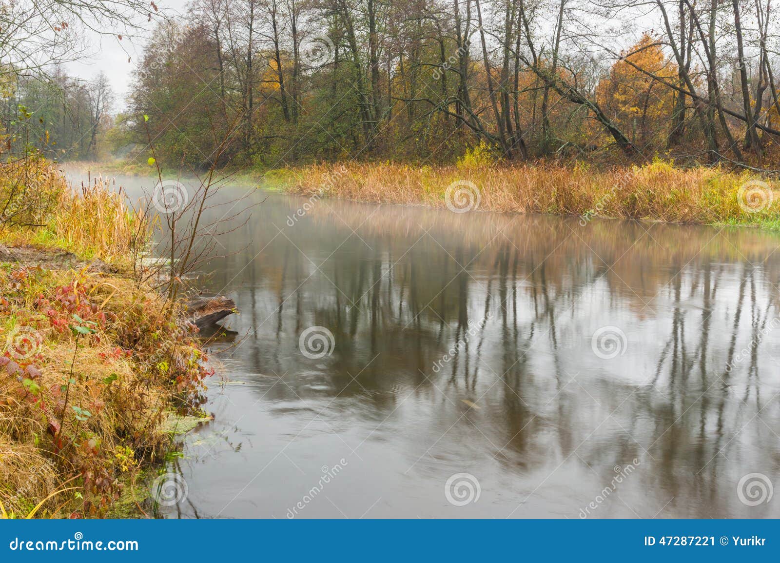 Mist Over Vorskla River in Ukraine Stock Image - Image of moist, forest ...