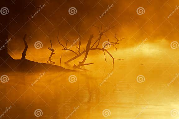 Mist over water stock image. Image of serene, golden, light - 5669915