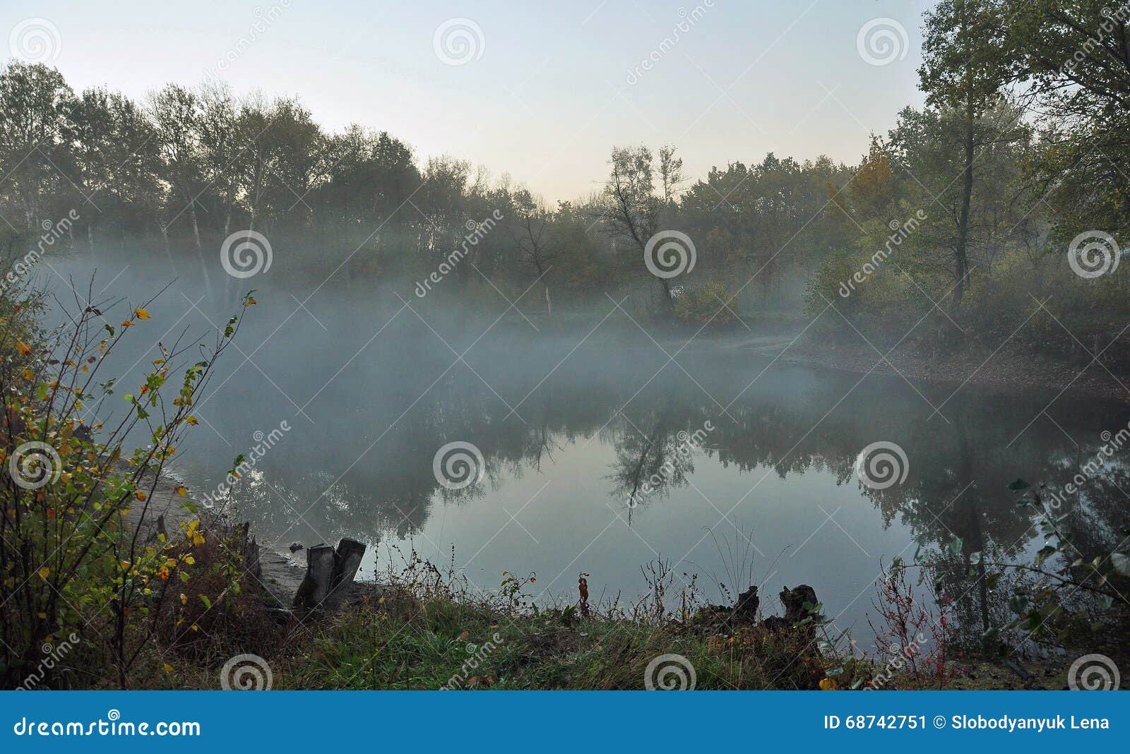 Mist over the water stock image. Image of still, smooth - 68742751