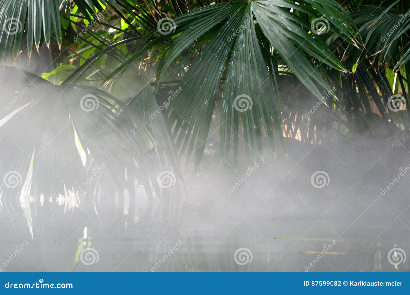 Mist over the water stock photo. Image of detail, nature - 87599082