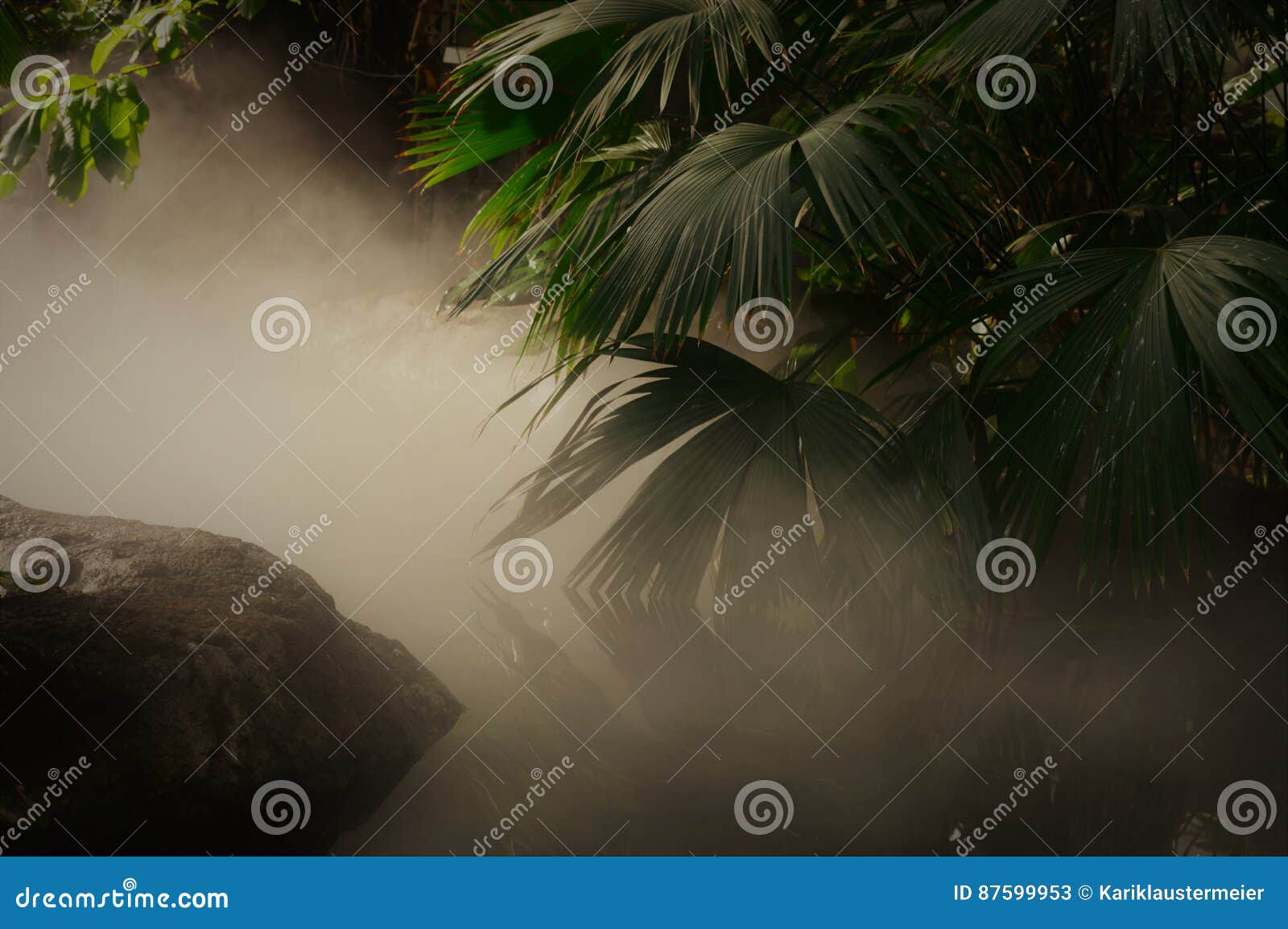 Mist over the water stock image. Image of detail, landscape - 87599953