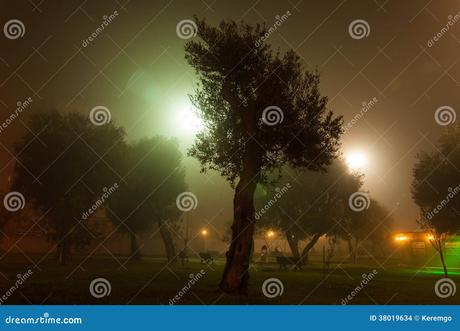 Mist in the Park stock photo. Image of mist, imagination - 38019634