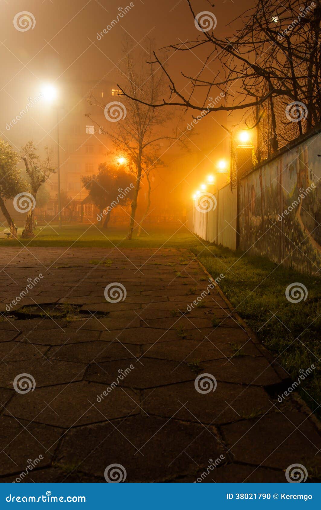 Mist in the Park stock photo. Image of mist, moody, dark - 38021790