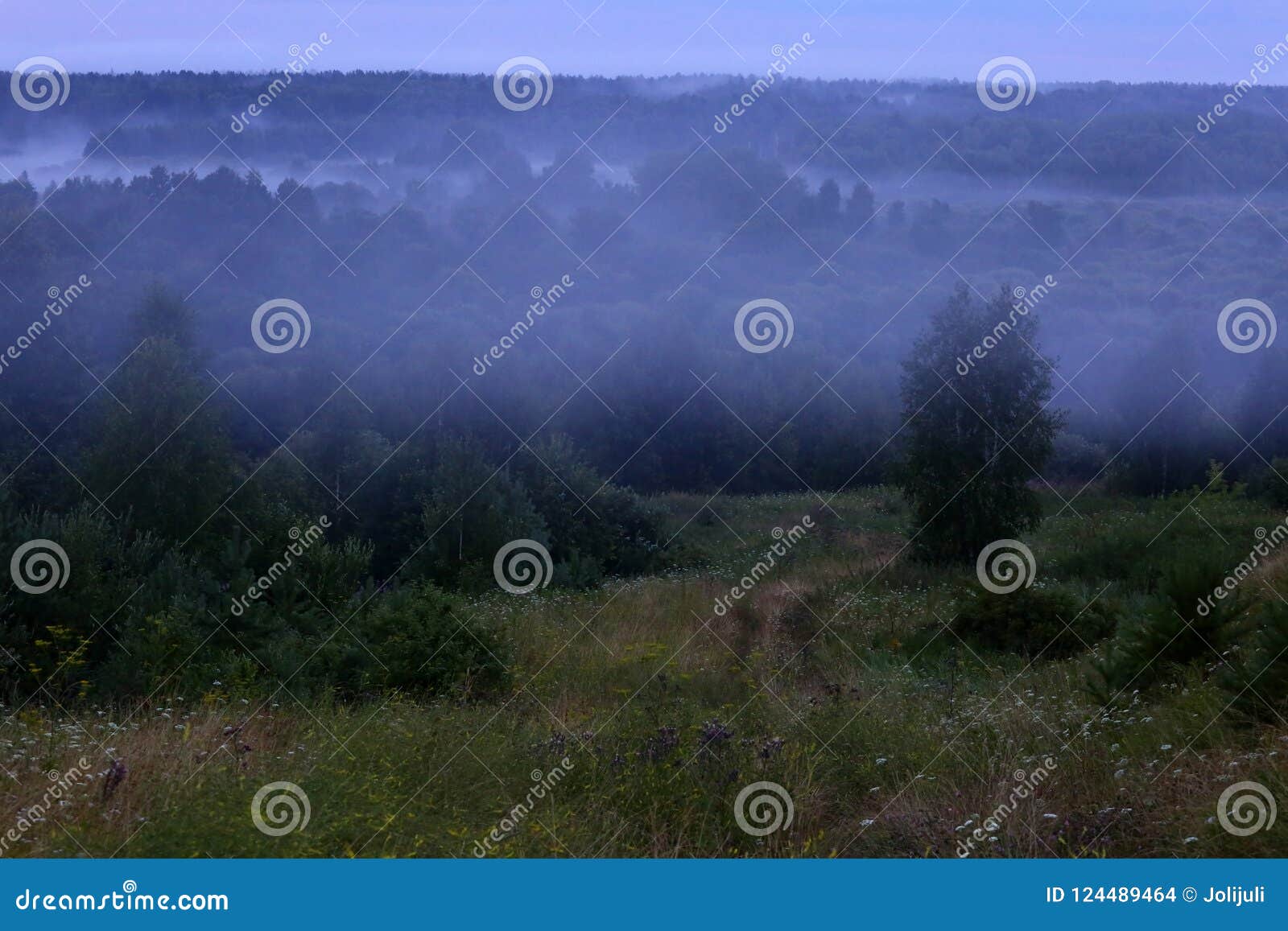 Mist after the rain stock photo. Image of landscape - 124489464