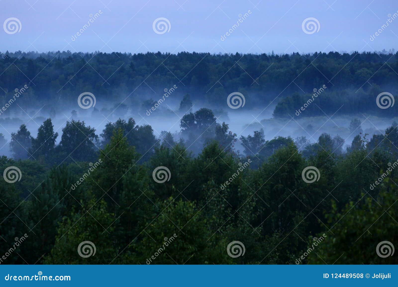 Mist after the rain stock photo. Image of ethereal, mist - 124489508