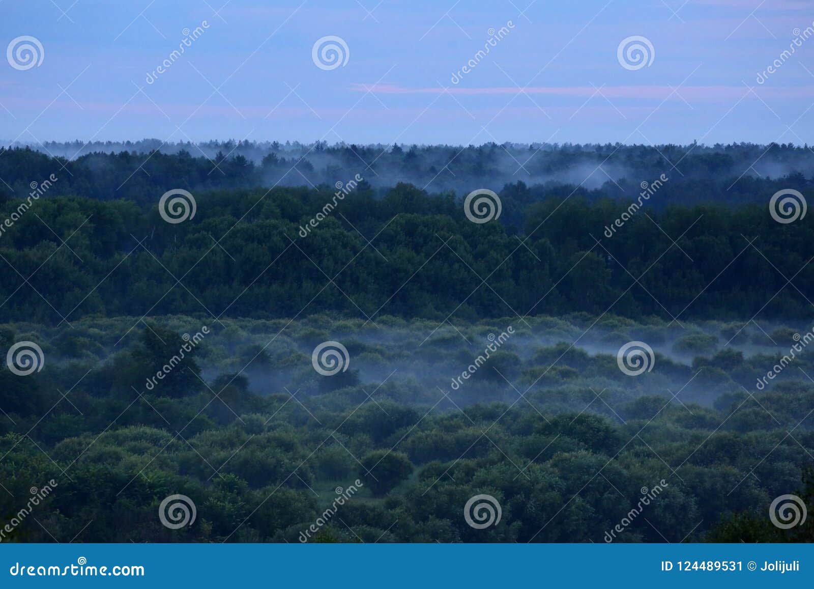 Mist after the rain stock image. Image of birch, ethereal - 124489531