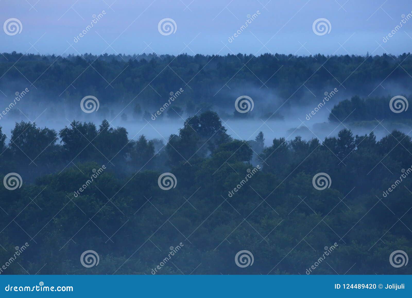 Mist after the rain stock photo. Image of forest, foggy - 124489420