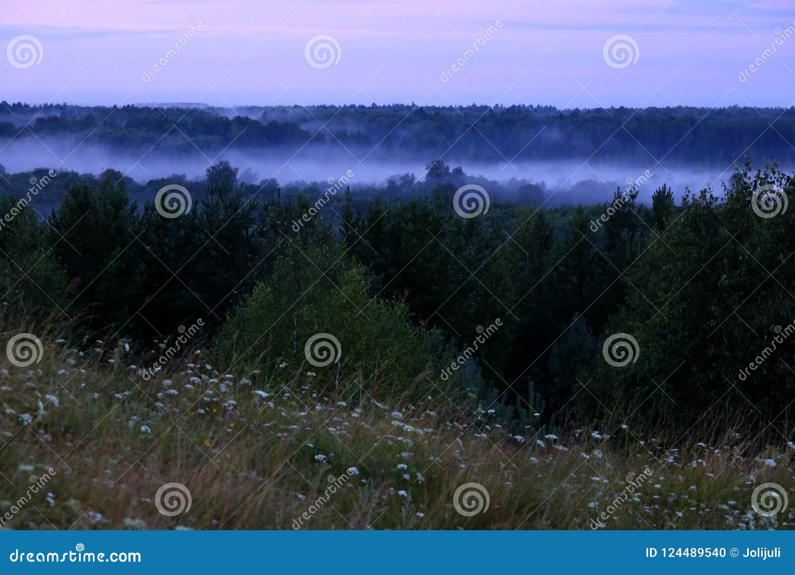 Mist after the rain stock photo. Image of hill, mist - 124489540