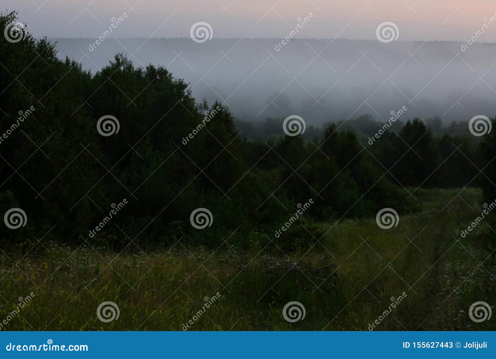Mist after the rain stock image. Image of hill, birch - 155627443
