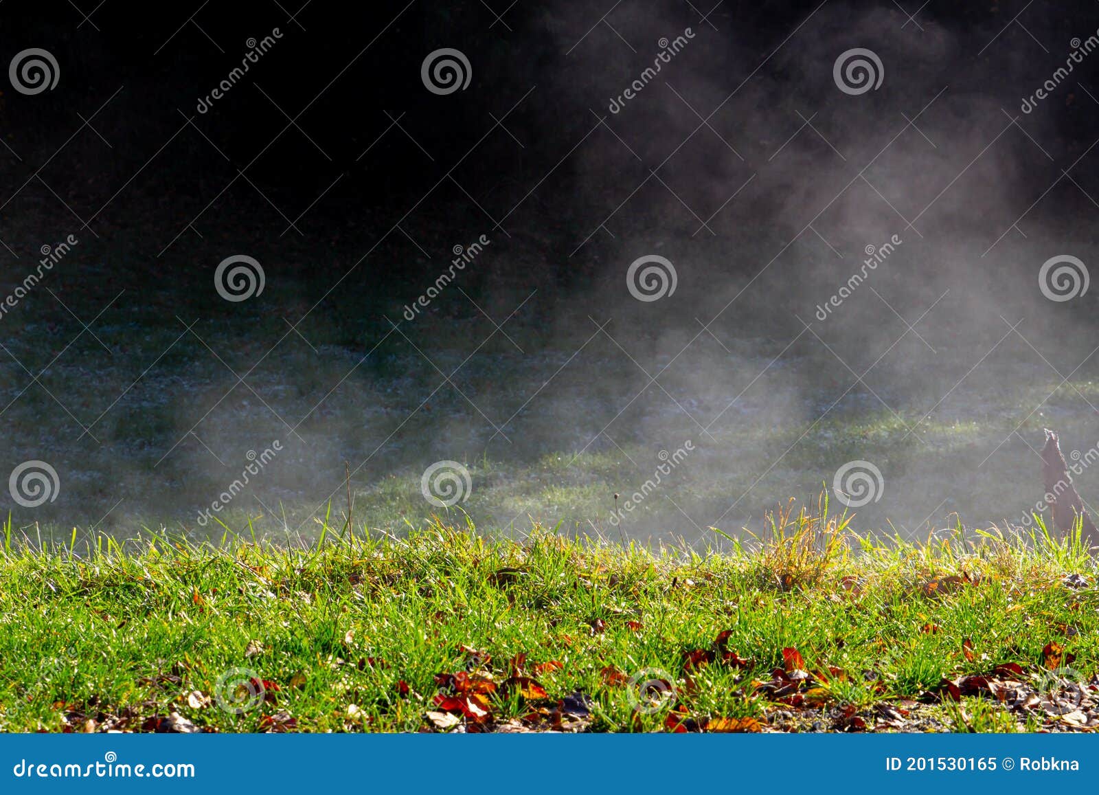 Mist Rising from the Grass in the Morning Sun Stock Image - Image of ...