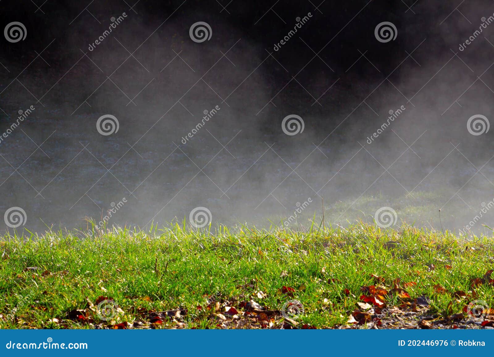 Mist Rising from the Grass in the Morning Sun Stock Photo - Image of ...