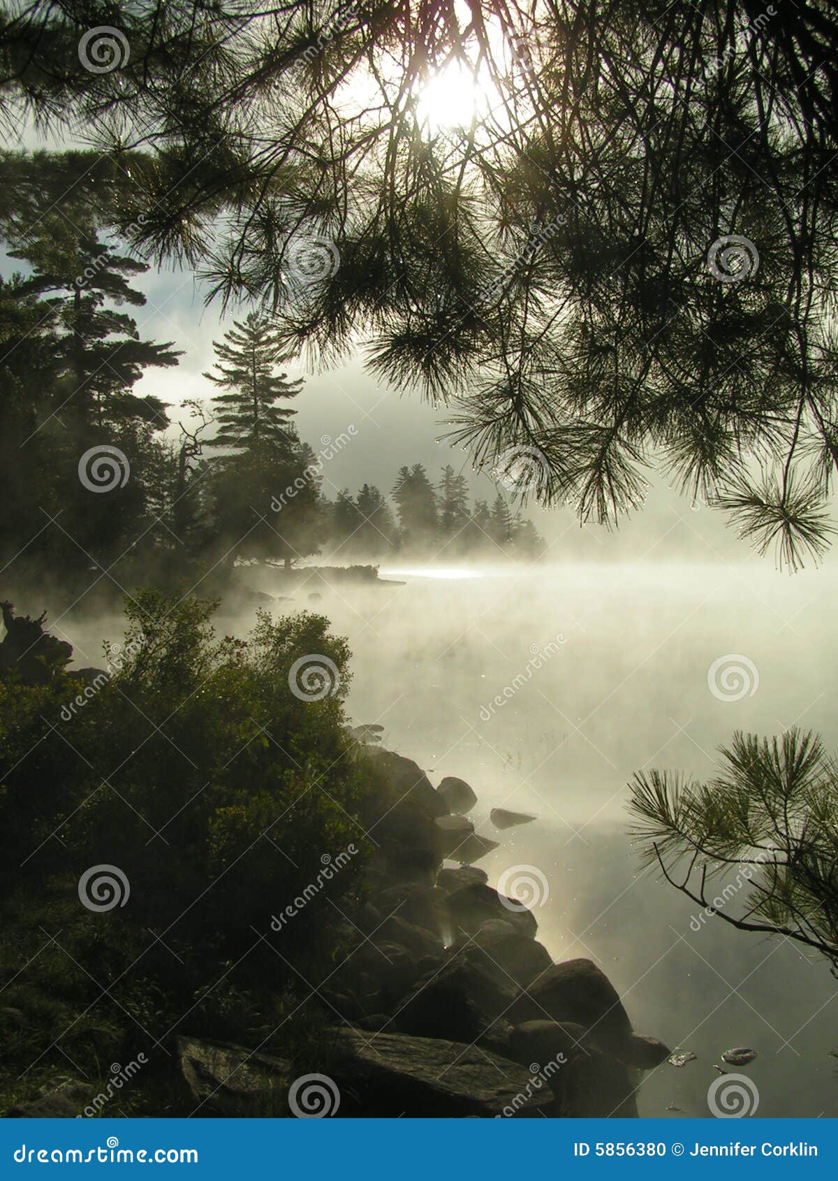 Mist rising from lake stock photo. Image of logs, misty - 5856380